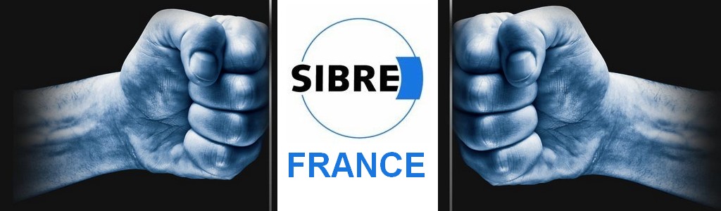 SIBRE FRANCE- Freins industriels & Composants mécaniques.